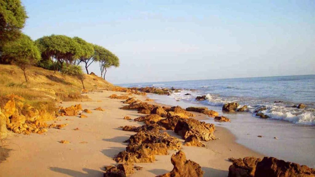 Nikmati Serunya Berkemah Di Pantai Sowan | Hibur.id