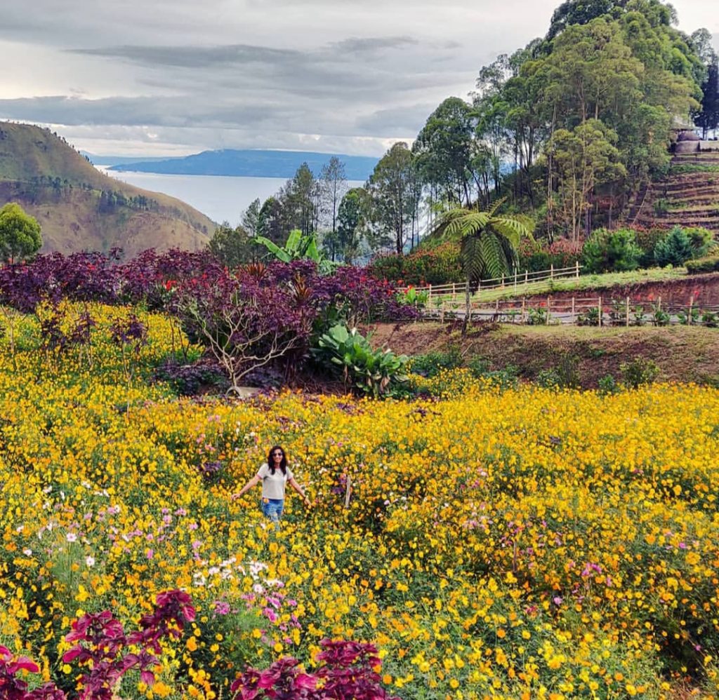 Menikmati Keindahan Taman Bunga Di Puncak Bukit - Sapo Juma | Hibur.id