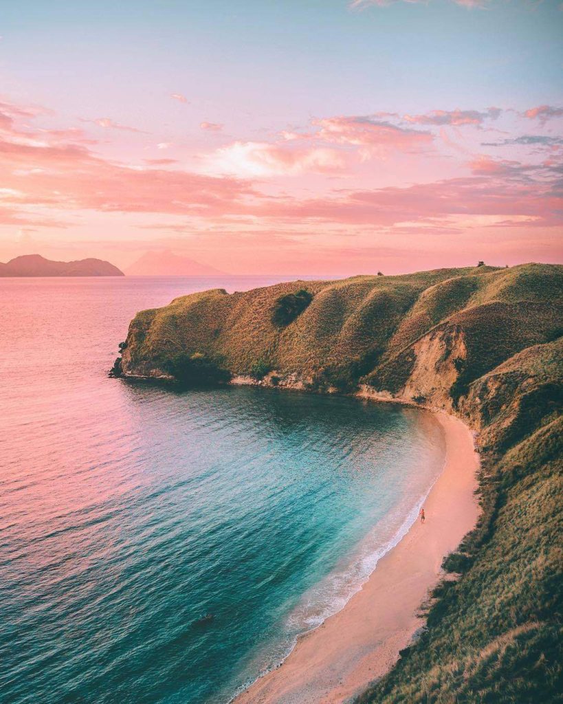 Menengok Lebih Dekat Tentang Ciri Khas Kebun Raya Batam | Hibur.id