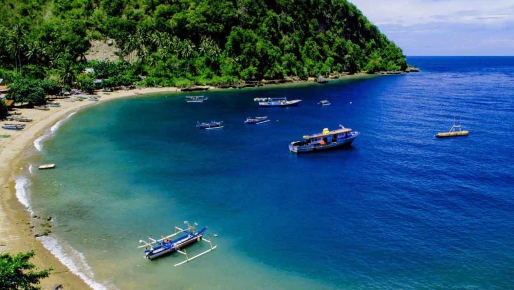 Pantai Olele Tempat Melihat Terumbu Karang Endemik | Hibur.id