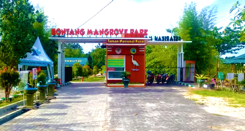 Bontang Mangrove Park, Menyambut Keunikan Ekosistem Mangrove di Kota ...